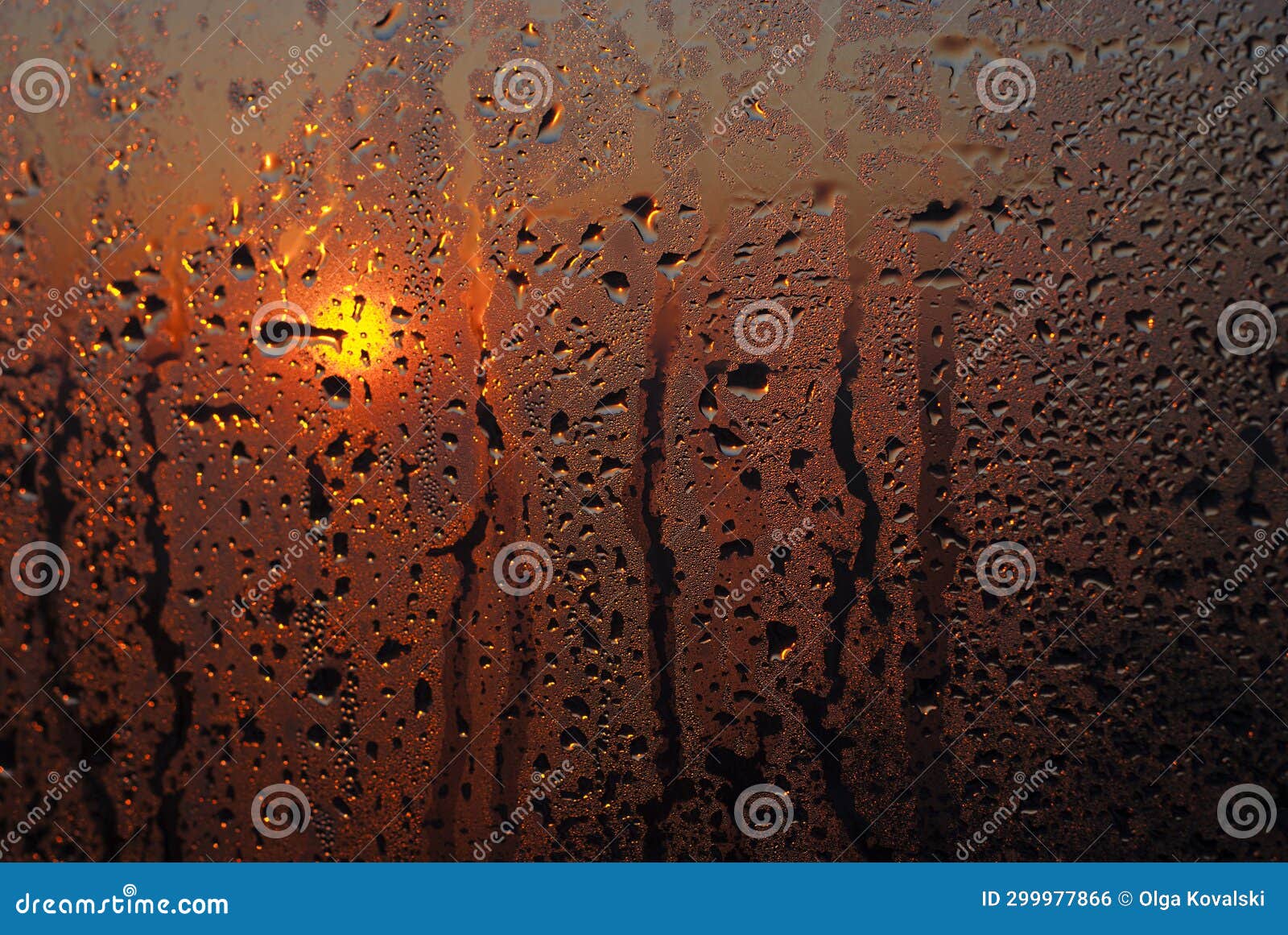Water Drops on the Window at Sunrise. Abstract Background and Texture ...