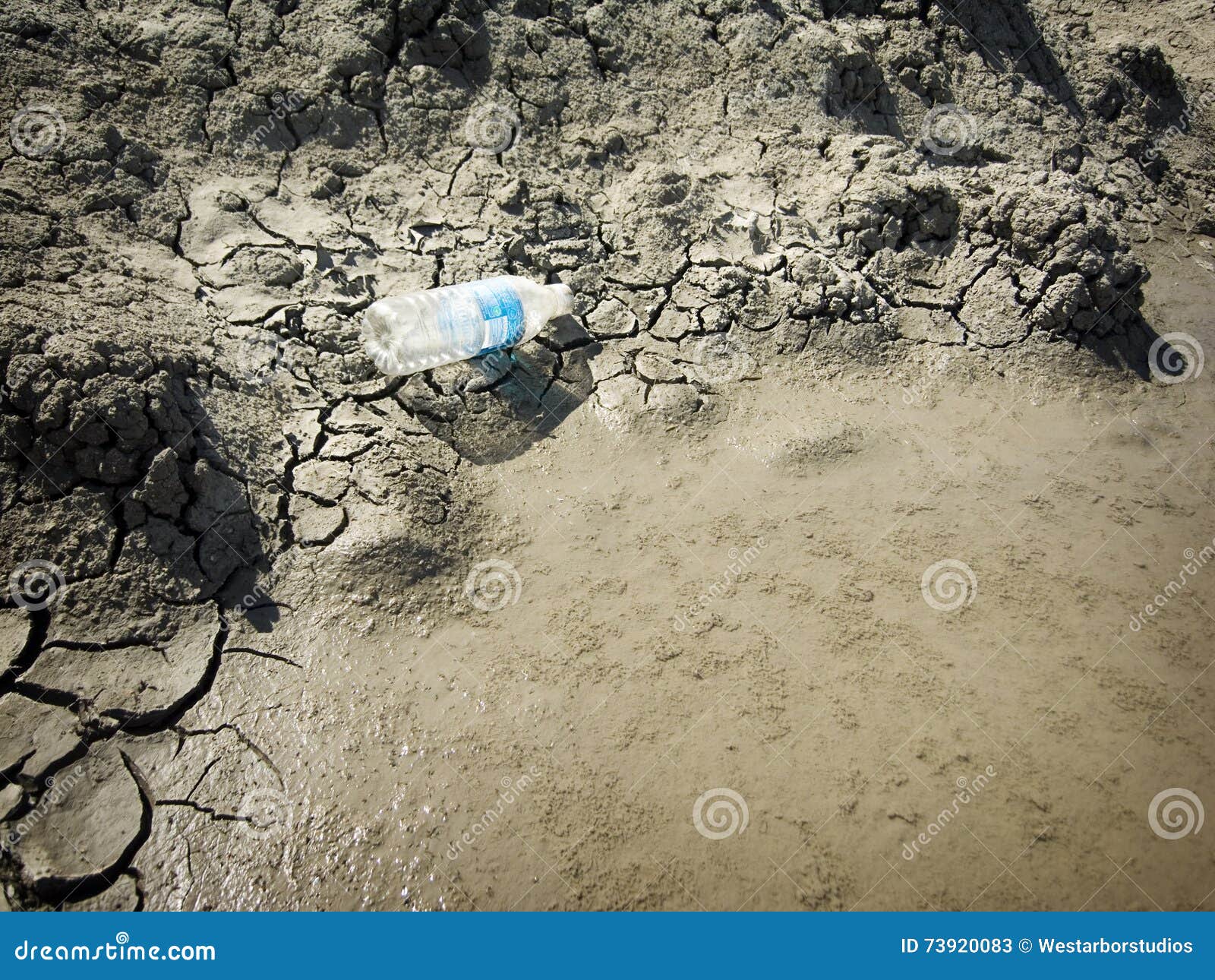 Water, Drought and Pollution Editorial Stock Photo - Image of parched ...