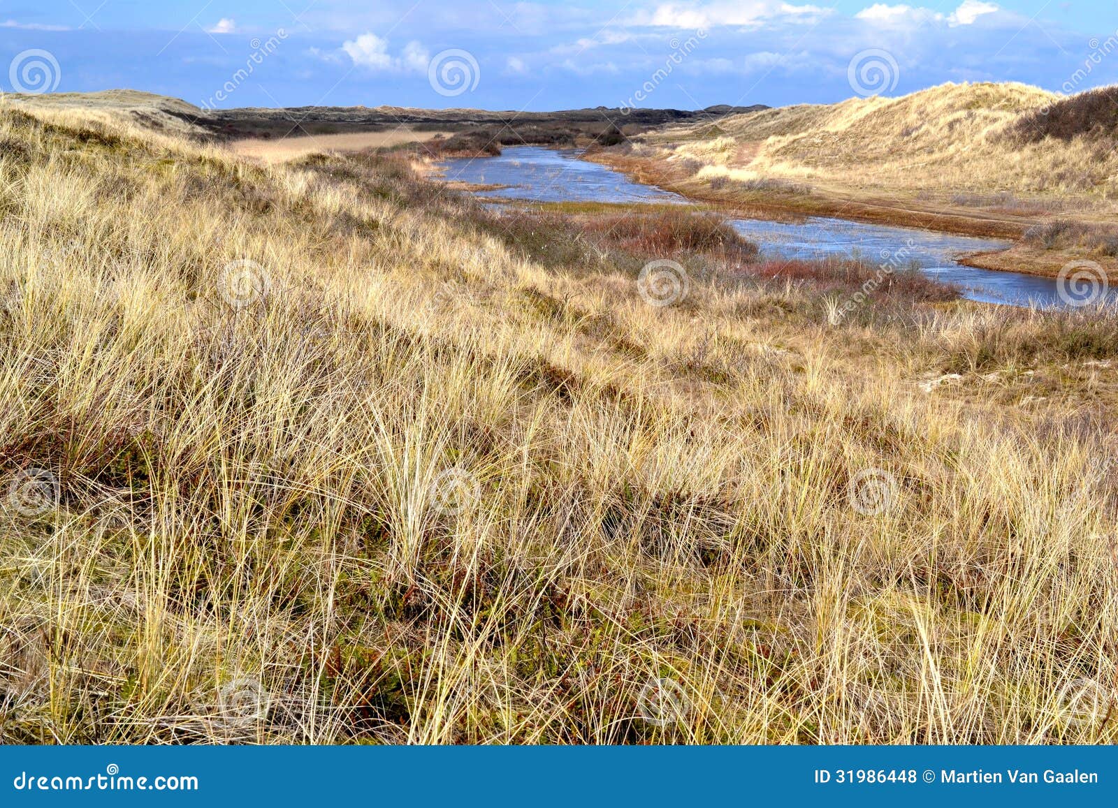 Water in the dunes. stock photo. Image of nature, dunes - 31986448