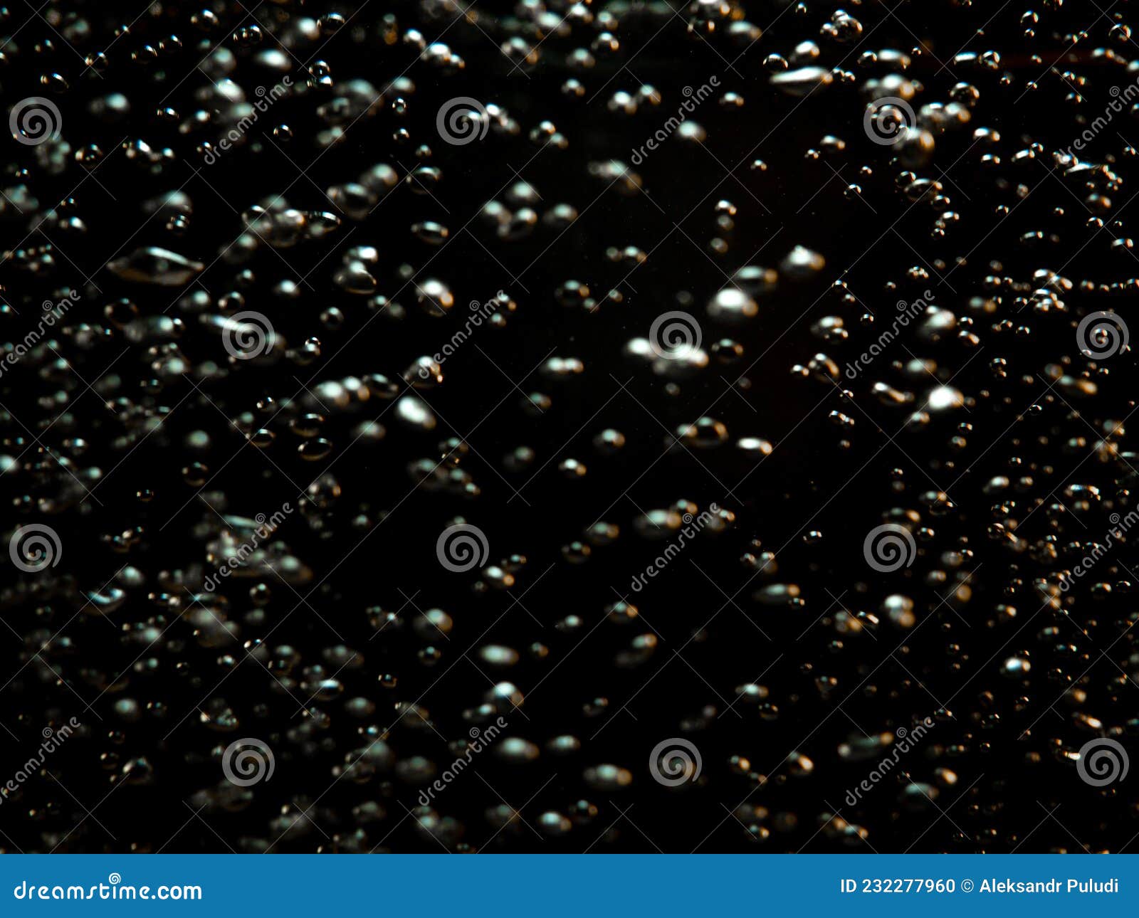 Water Environment. Water Bubbles Rise To the Surface Stock Photo ...