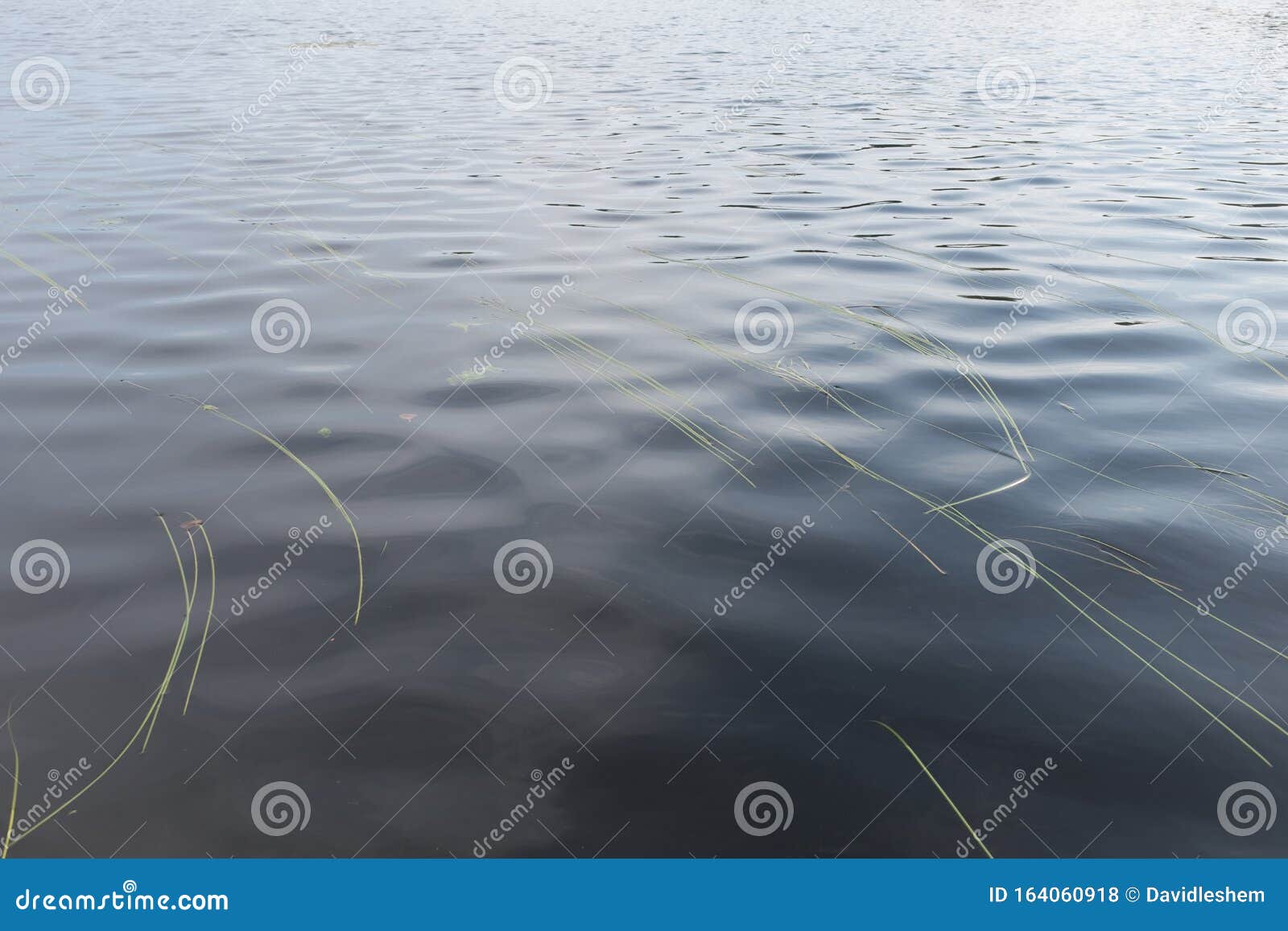 Water Environment Nature Blue Pure Water Stock Photo - Image of empty ...