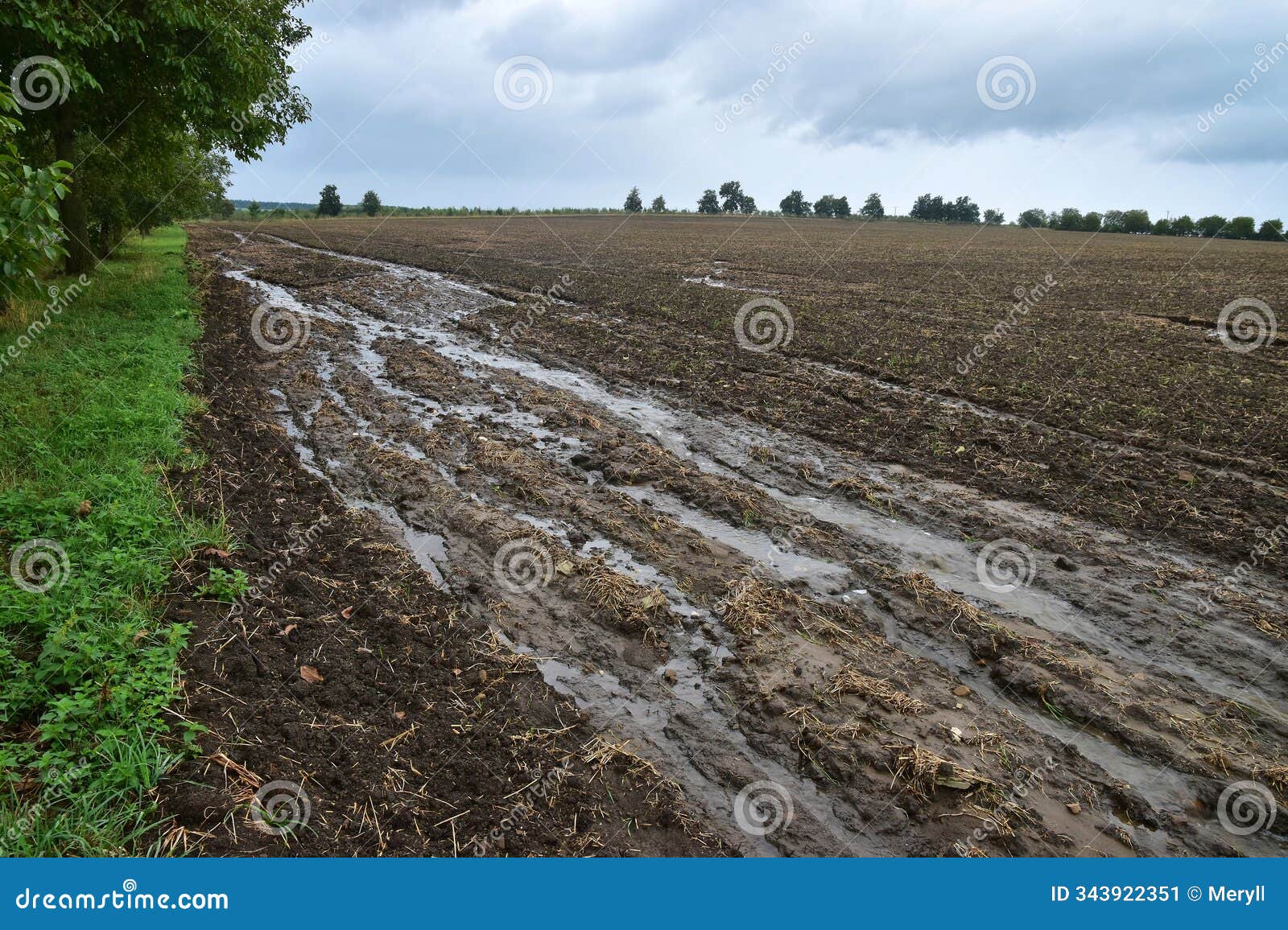Water Erosion of Soil Field Agriculture Damage Stock Image - Image of ...
