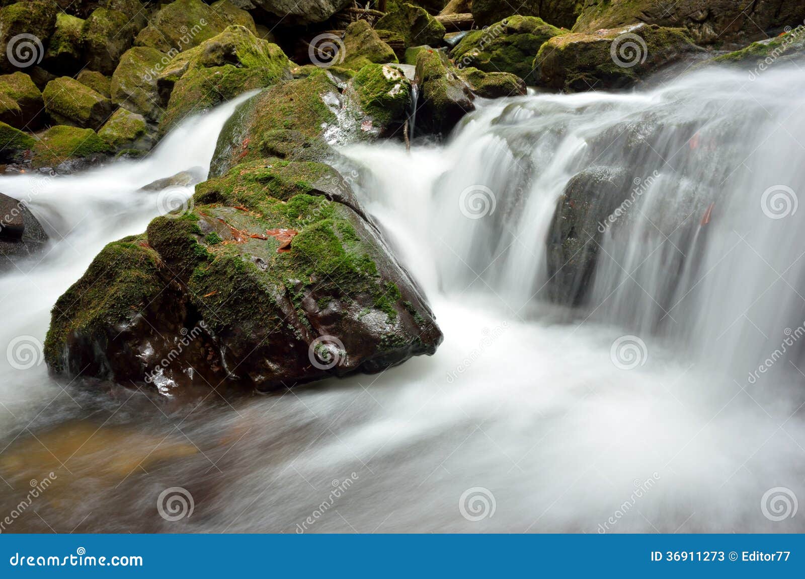 Water the essence of life stock image. Image of stream - 36911273