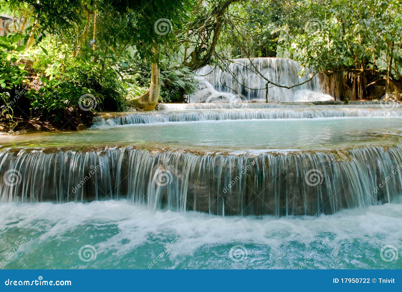 Water fall stock photo. Image of beauty, flow, green - 17950722
