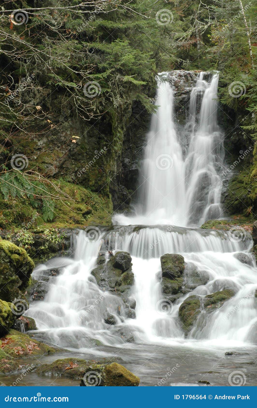 Water fall stock photo. Image of flow, nature, pure, liquid - 1796564