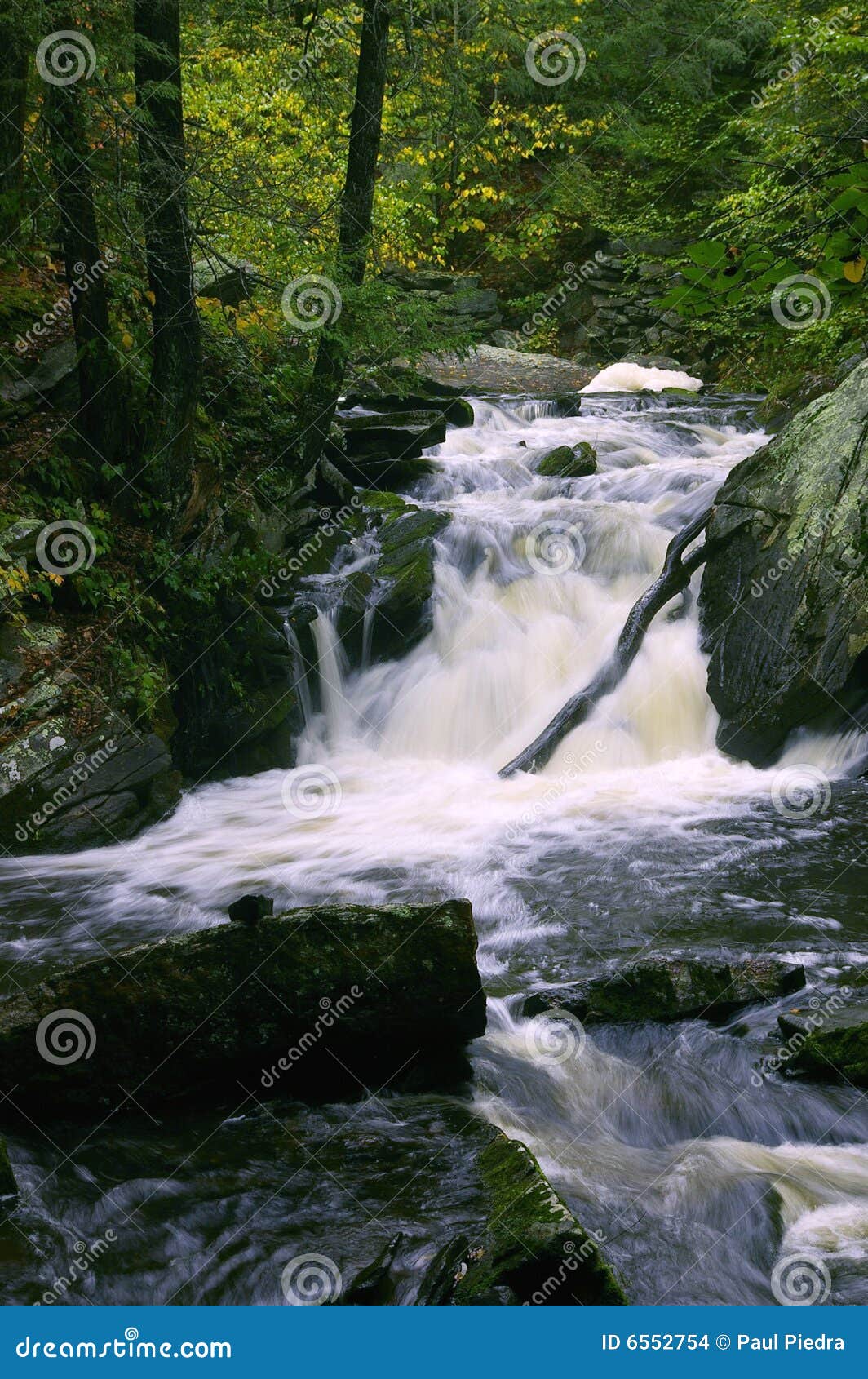 Water Fall stock photo. Image of rocks, water, flow, forest - 6552754