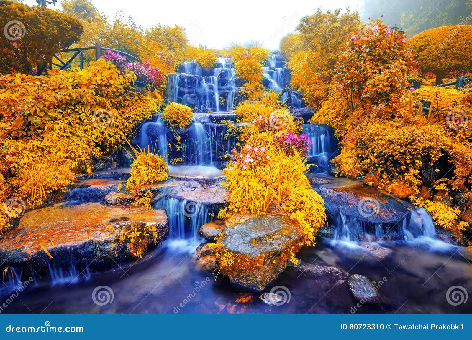 Water fall. stock photo. Image of growth, cataract, exotic - 80723310