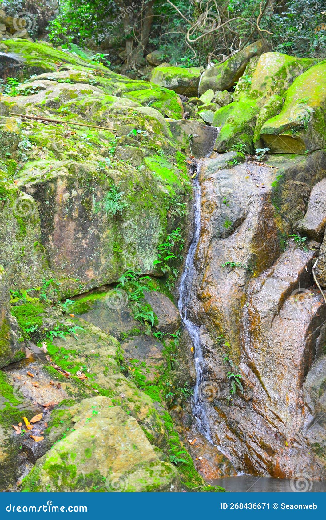 A Water Fall at Bowen Road, Hong Kong Stock Image - Image of peaceful, boulders: 268436671
