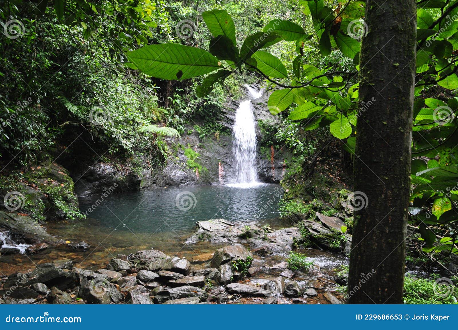 Water Fall in the Cockscomb Basin Wildlife Sanctuary in Belize Stock ...