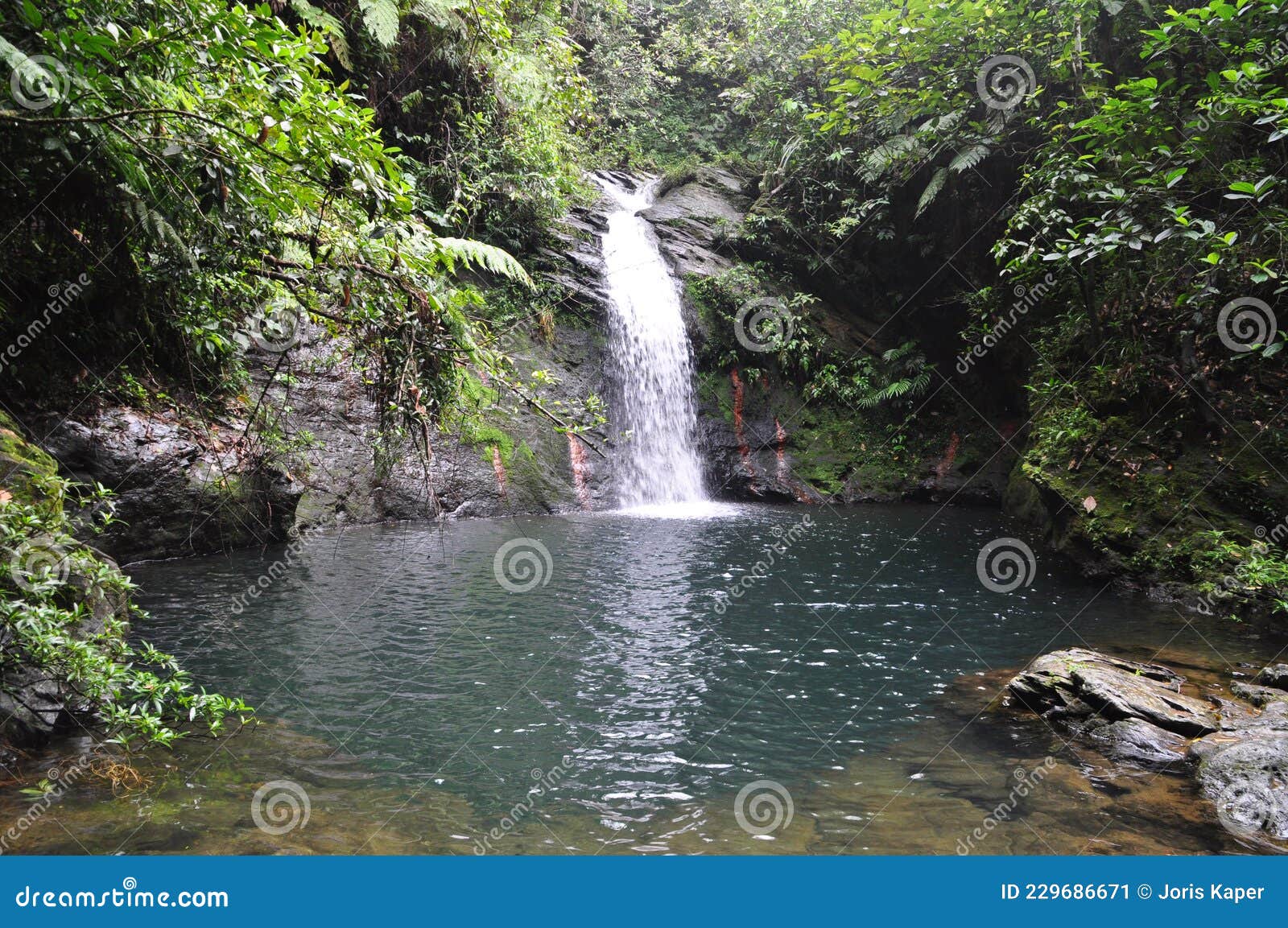 Water Fall in the Cockscomb Basin Wildlife Sanctuary in Belize Stock ...