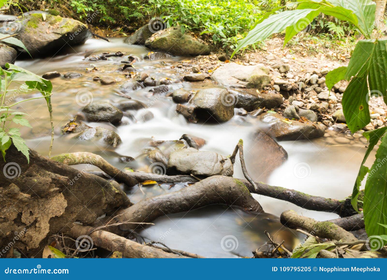 Water Fall in Deep Forest,Chiang Mai Thailand Stock Image - Image of ...
