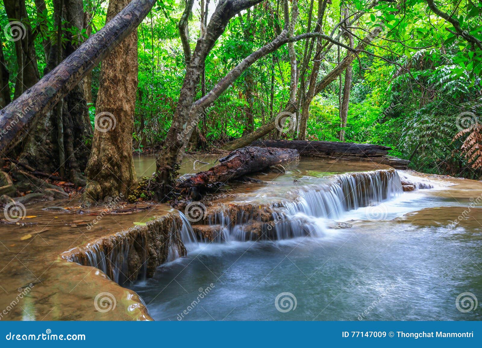 Water Fall in Deep Forest Thailand Stock Image - Image of falls ...