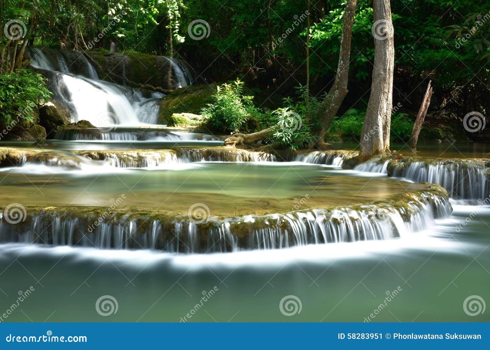 Water fall in deep forest stock image. Image of rock - 58283951
