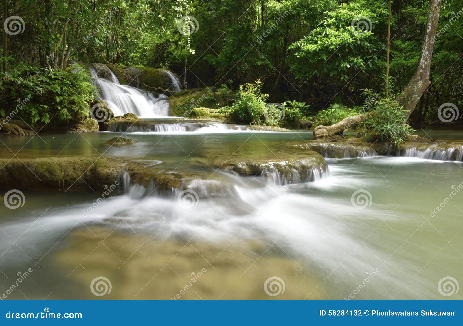 Water fall in deep forest stock photo. Image of flow - 58284132