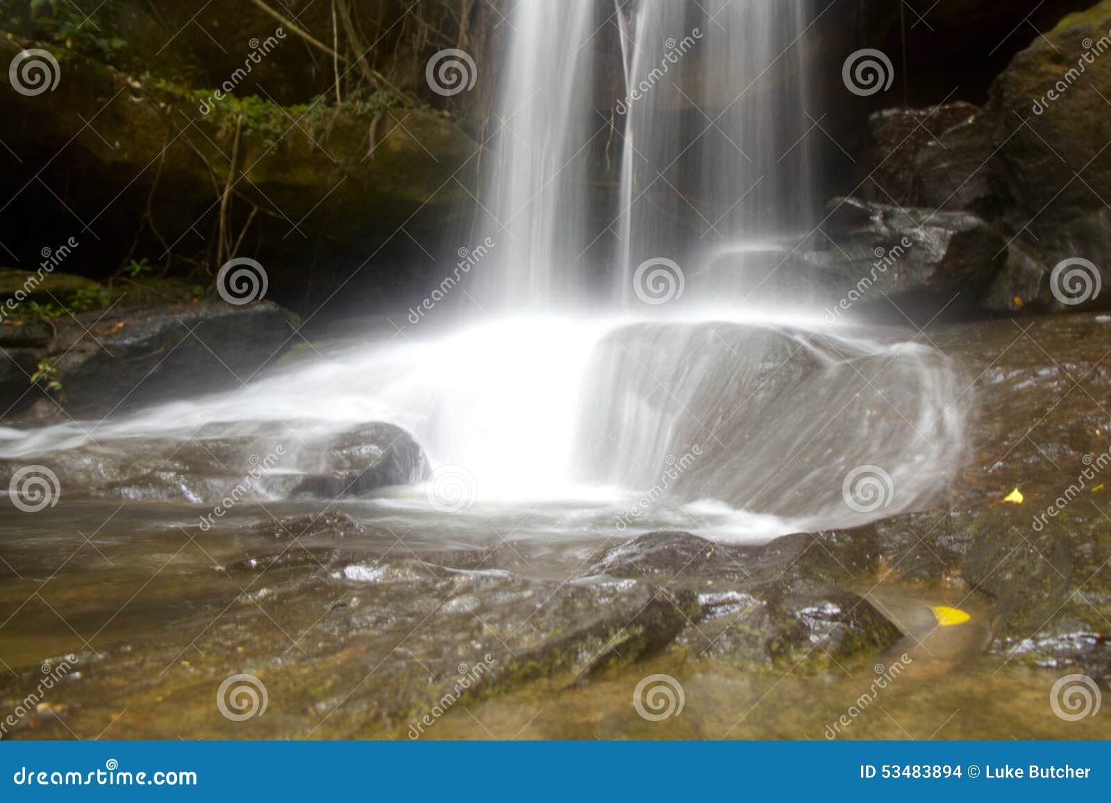 Water Fall Drop stock photo. Image of fall, nature, drop - 53483894