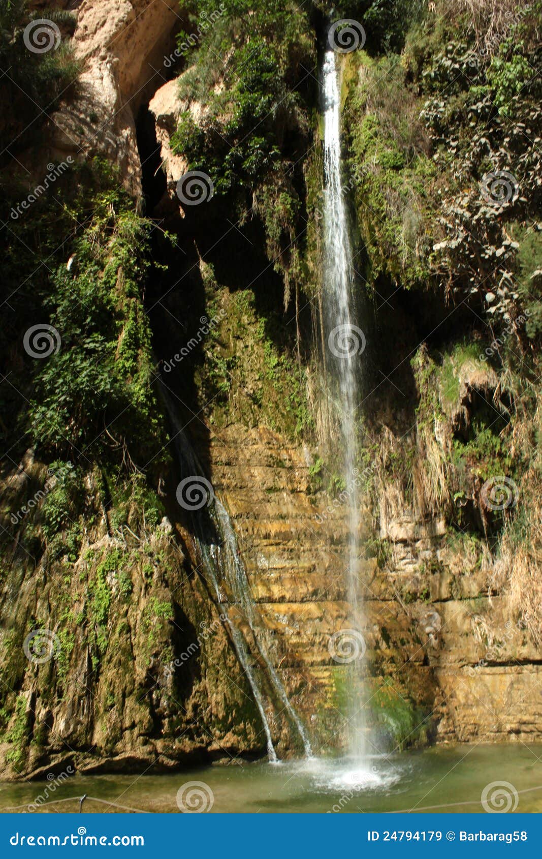Water Fall at Ein Gedi Israel Stock Image - Image of israel, gedi: 24794179