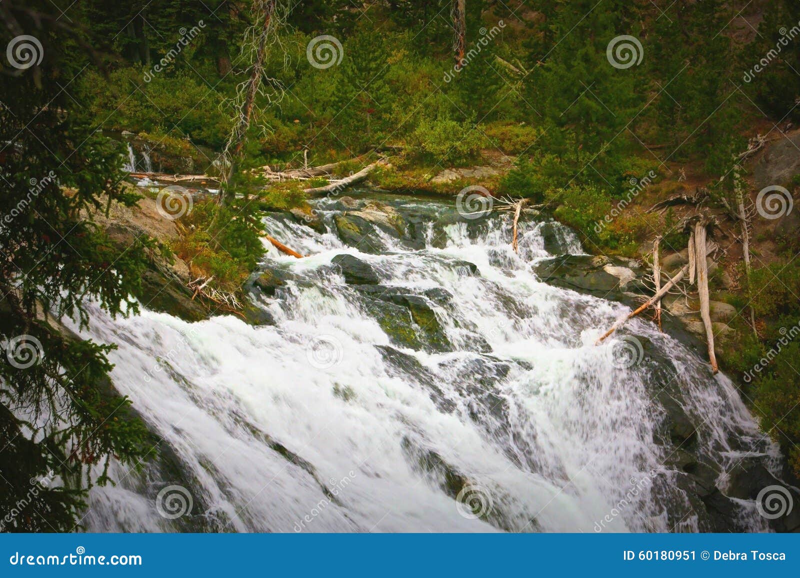 Water fall stock image. Image of fallen, trees, waterfall - 60180951
