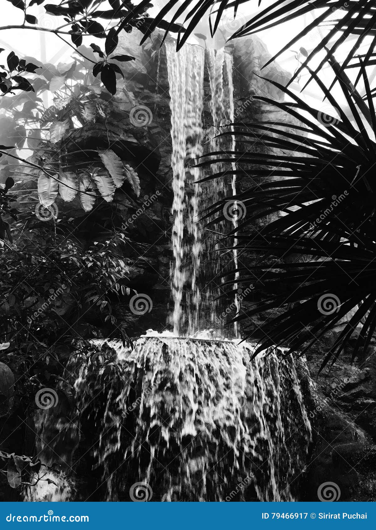 Water Fall stock image. Image of high, nature, flow, water - 79466917