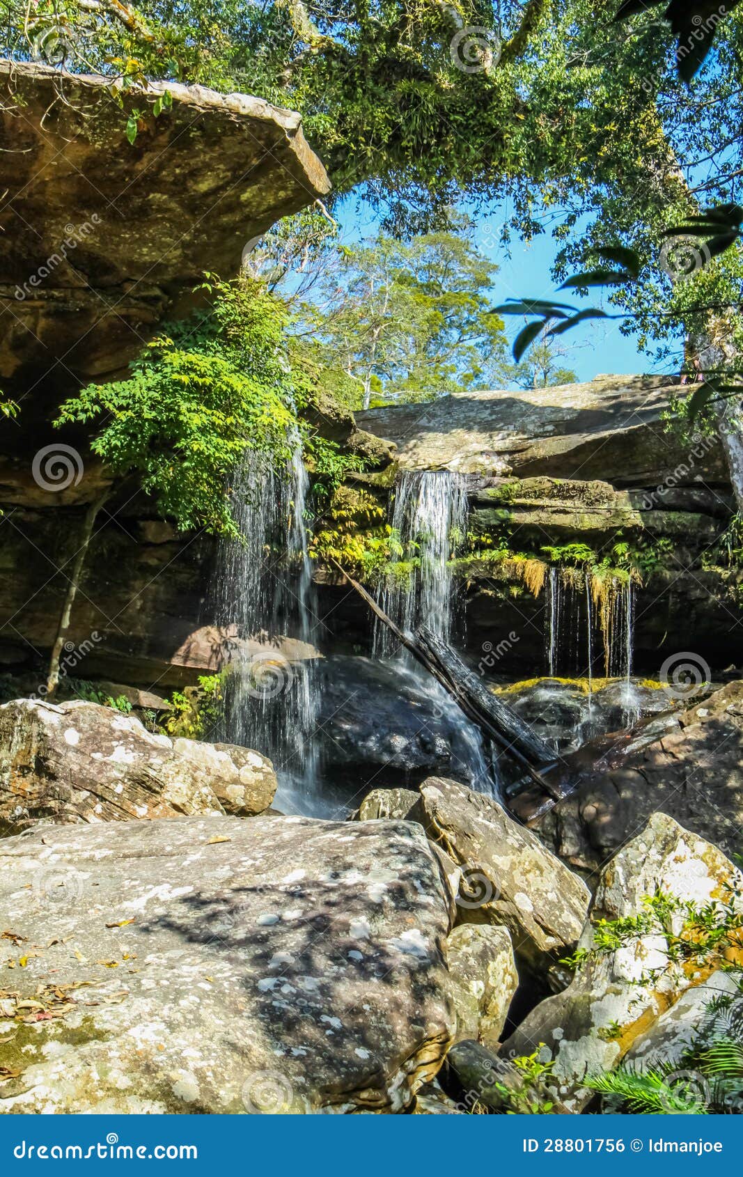 Water Fall with Green Trees Stock Photo - Image of sand, rain: 28801756