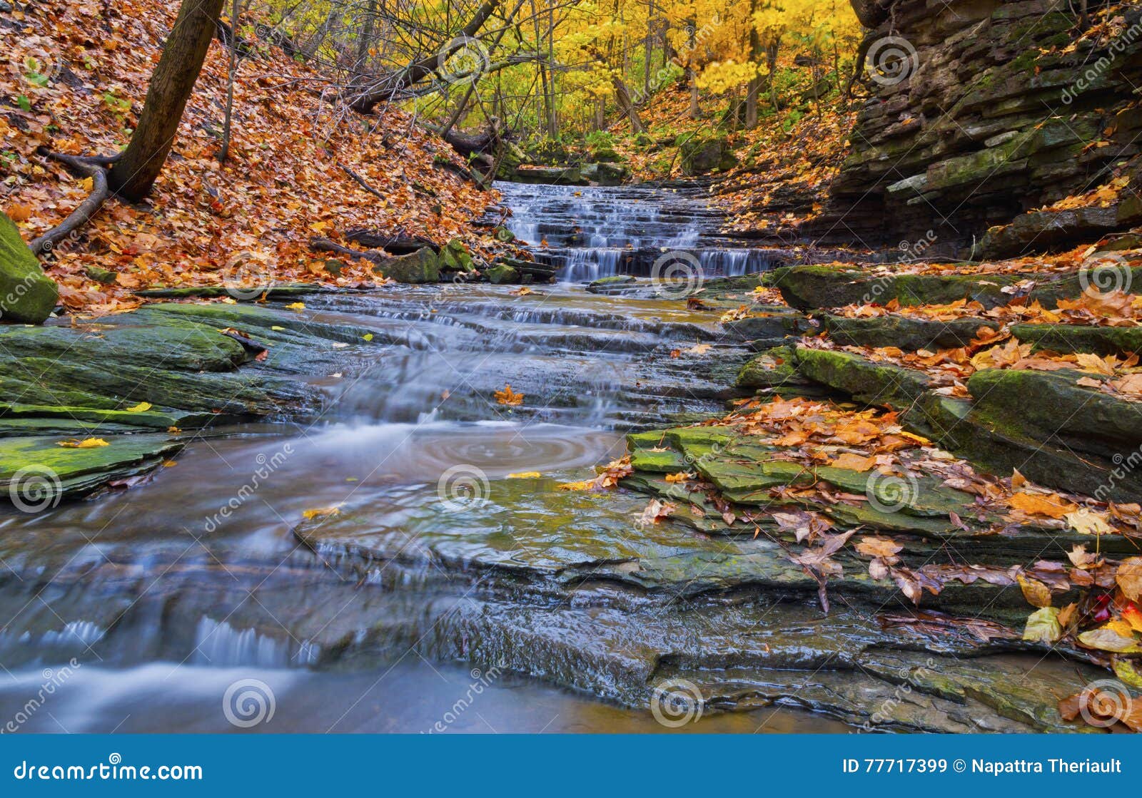 Water fall in Hamilton stock image. Image of water, yellow - 77717399