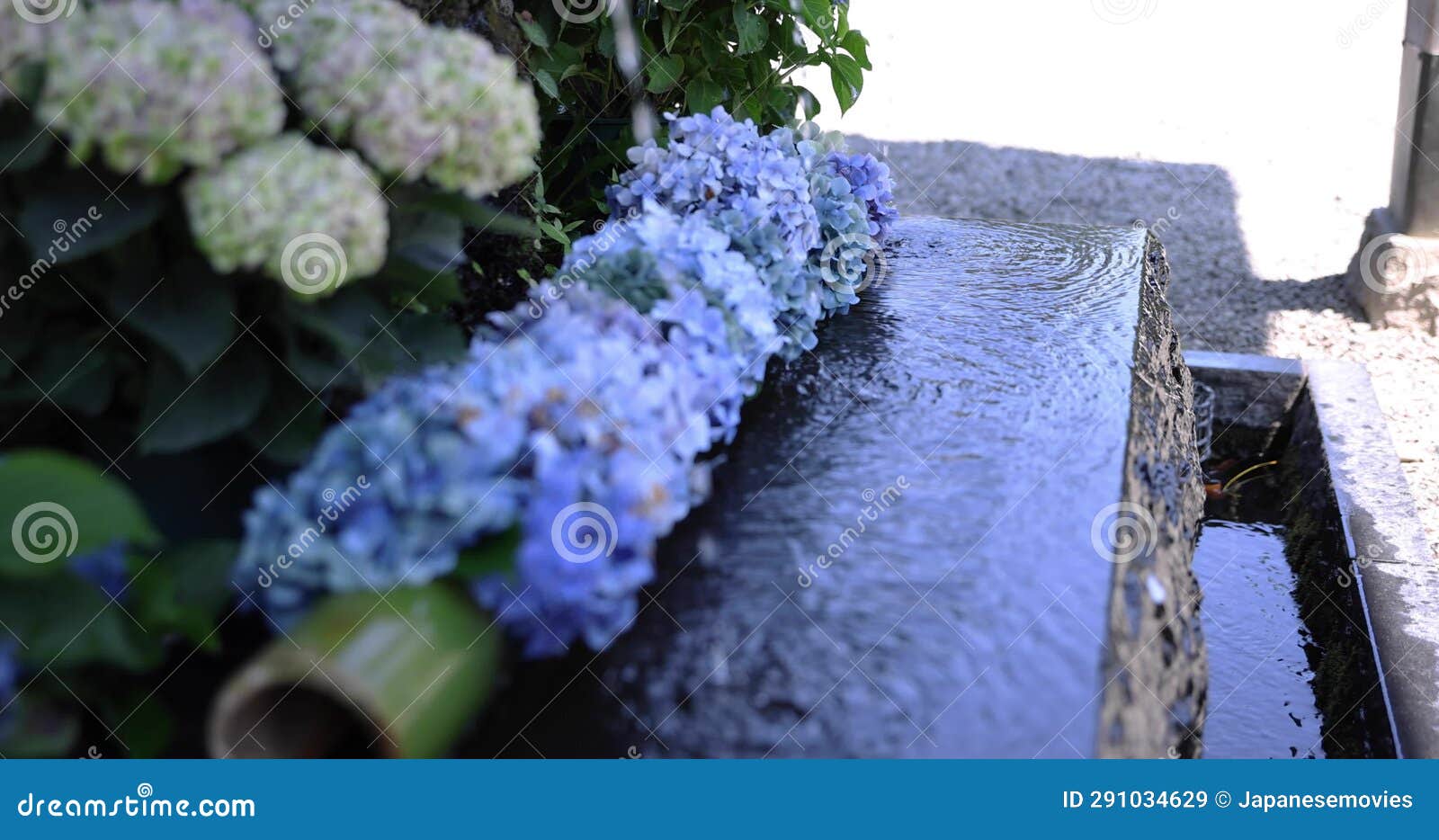 A Water Fall with Hydrangea Flowers at the Purification Trough in ...