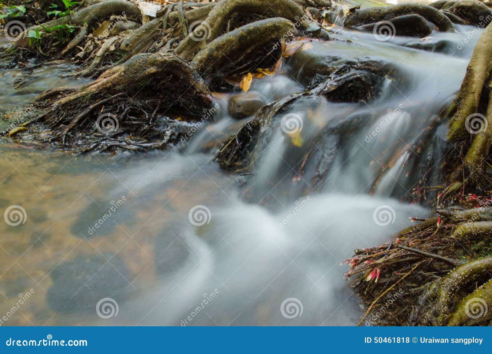 Water fall stock photo. Image of water, nature, landmark - 50461818