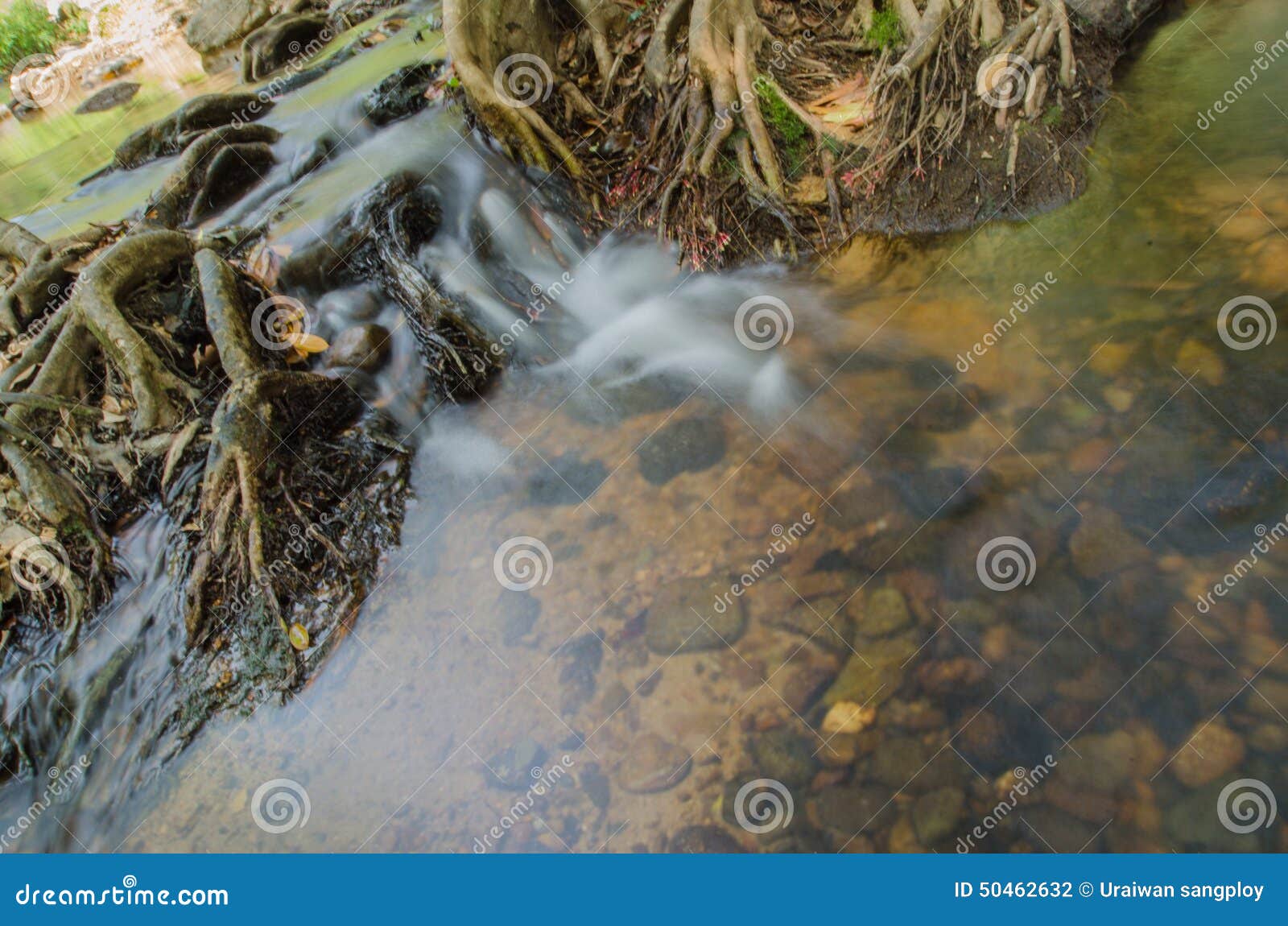 Water fall stock photo. Image of fall, stream, branch - 50462632