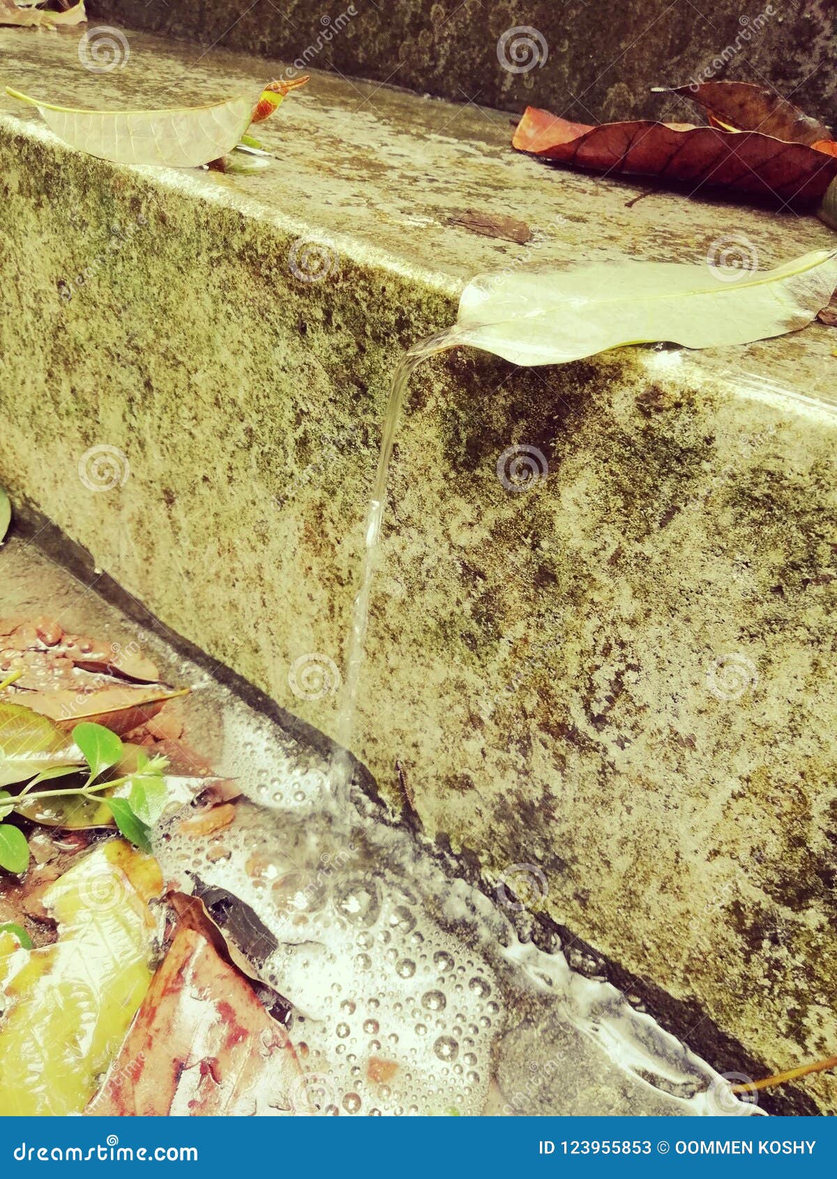 Water fall stock image. Image of water, koshy, waterfall - 123955853