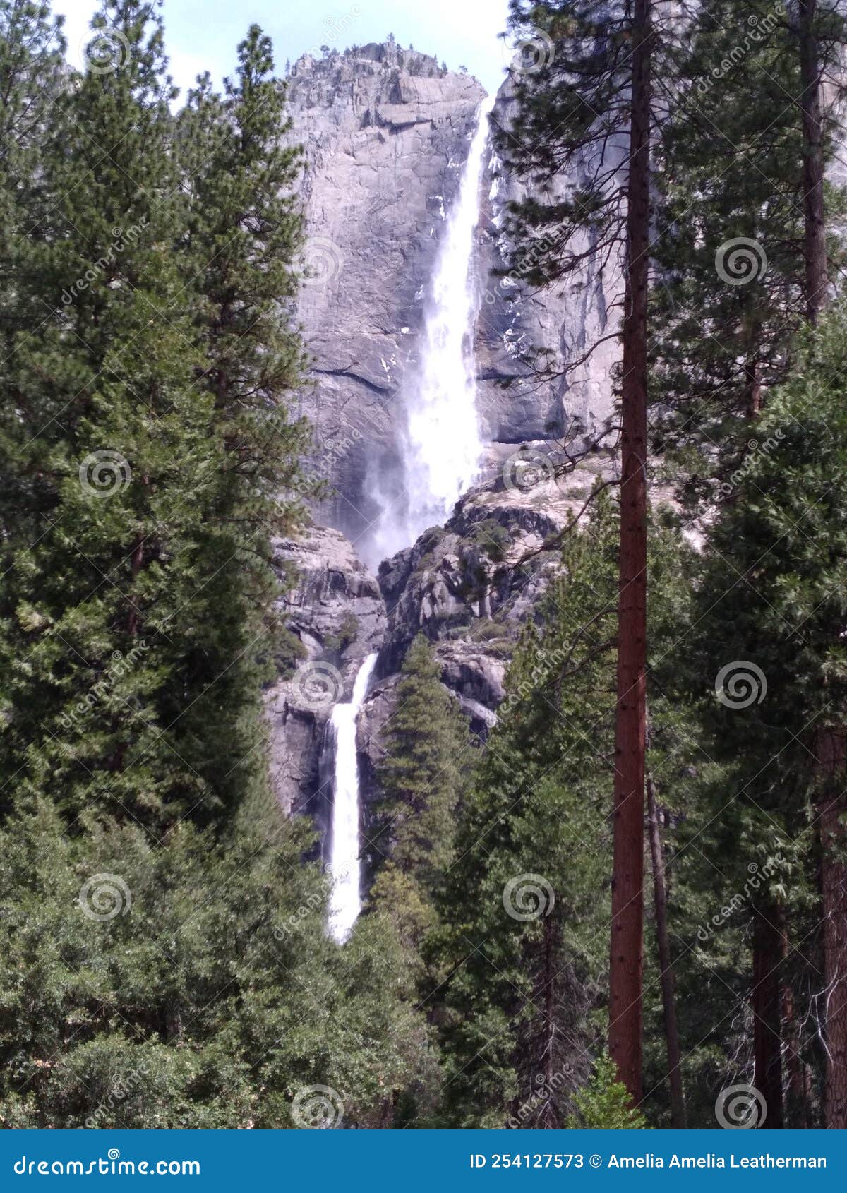 Water Fall Magic stock image. Image of waterway, tree - 254127573