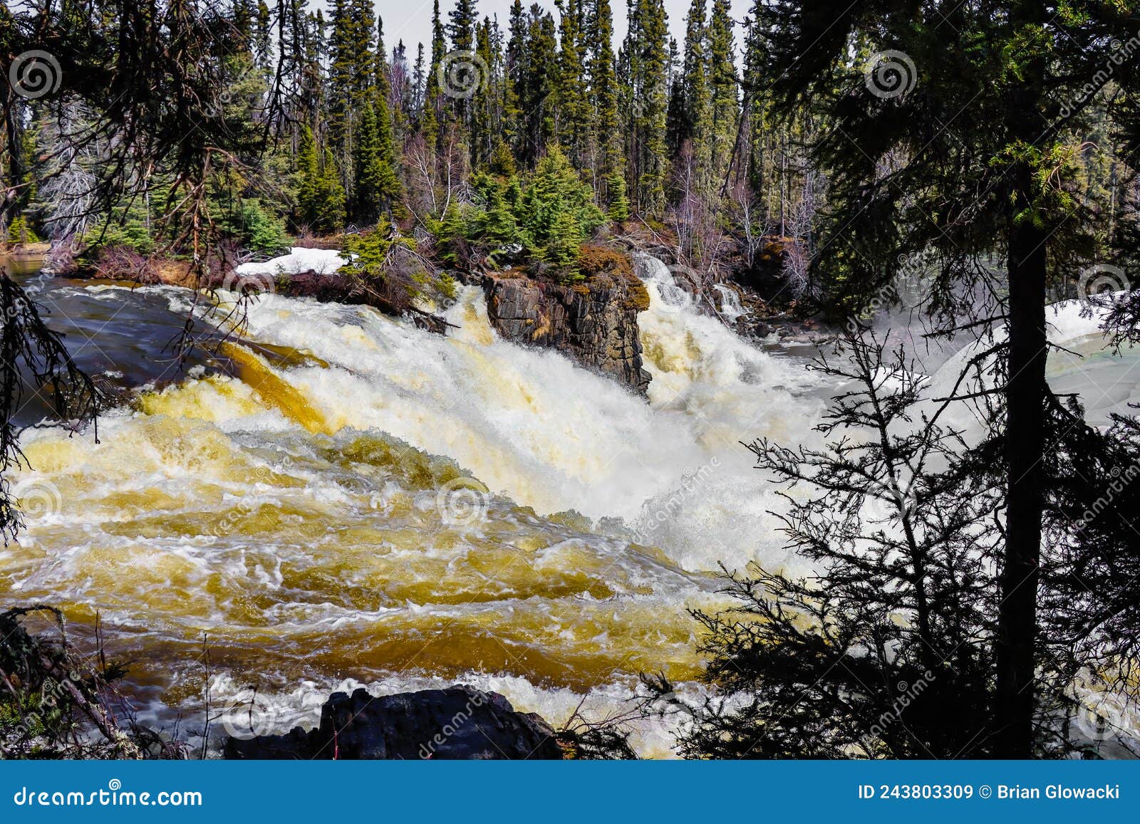 Water Fall in a River in the Boreal Forest of Canada Stock Image ...
