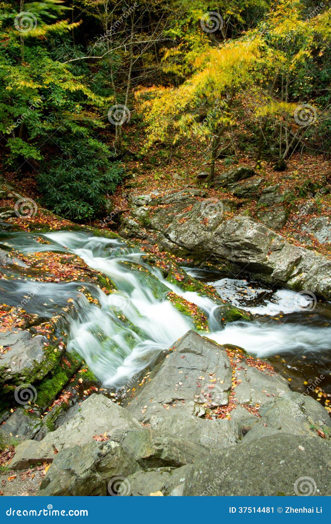 Water fall stock image. Image of long, crystal, leaves - 37514481