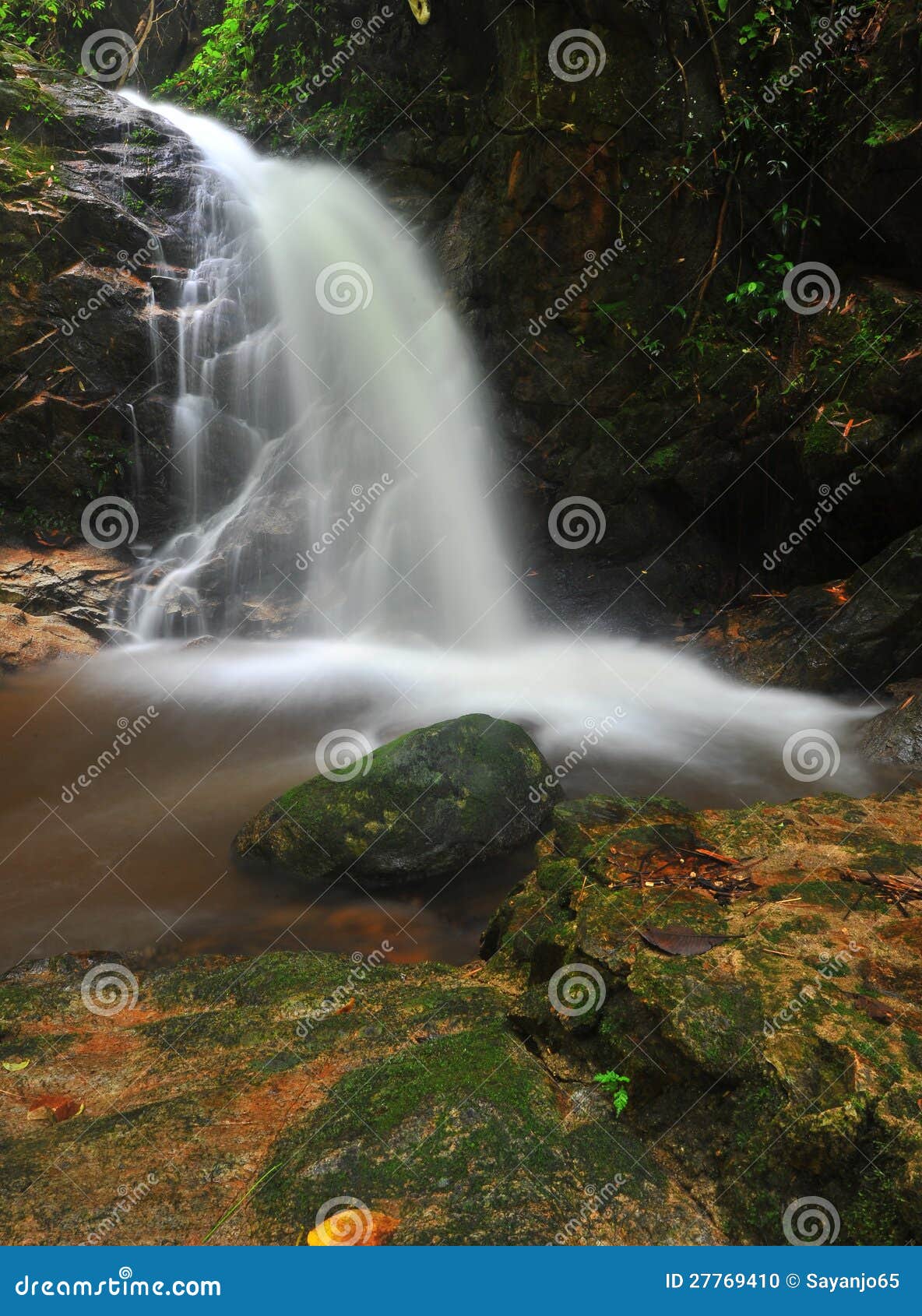 Water Fall in Spring Season Stock Photo - Image of plant, flowing: 27769410