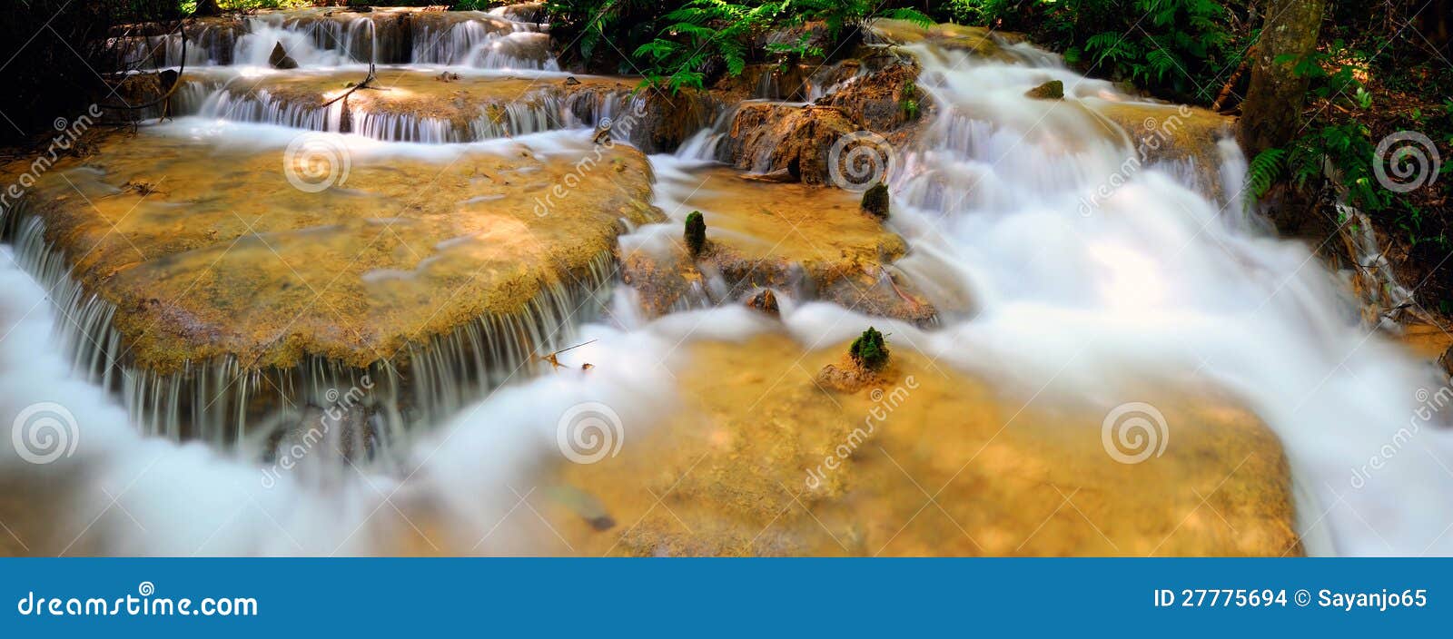 Water Fall in Spring Season Stock Photo - Image of purity, forest: 27775694