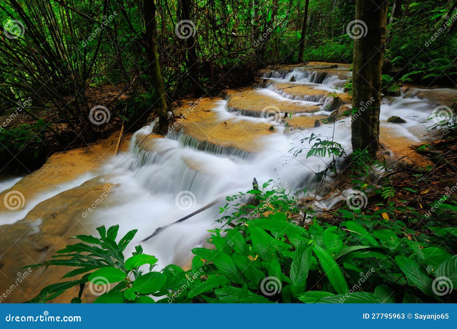 Water Fall in Spring Season Stock Image - Image of purity, beauty: 27795963