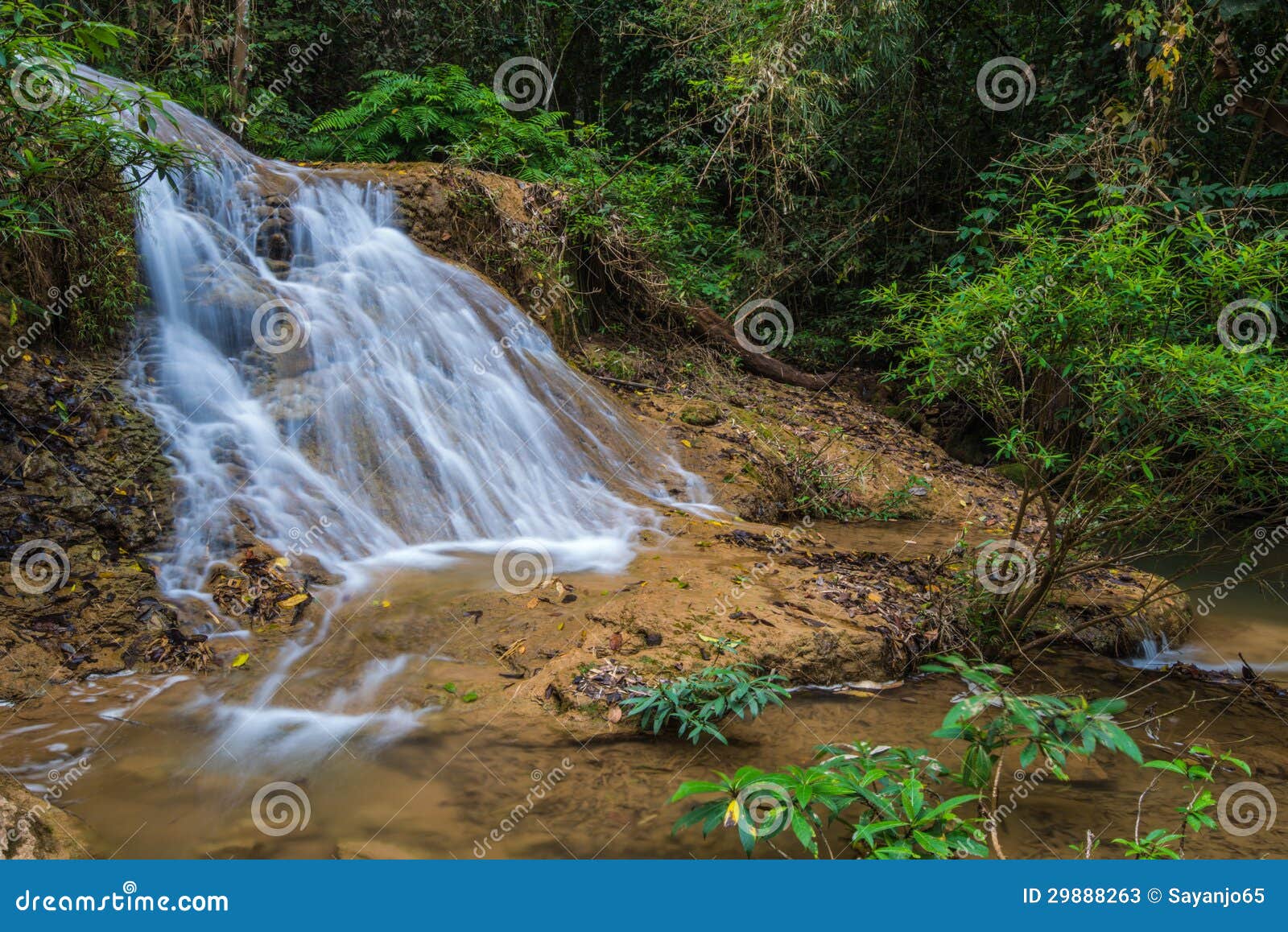 Water Fall in Spring Season Located in Deep Rain Forest Jungle Stock ...