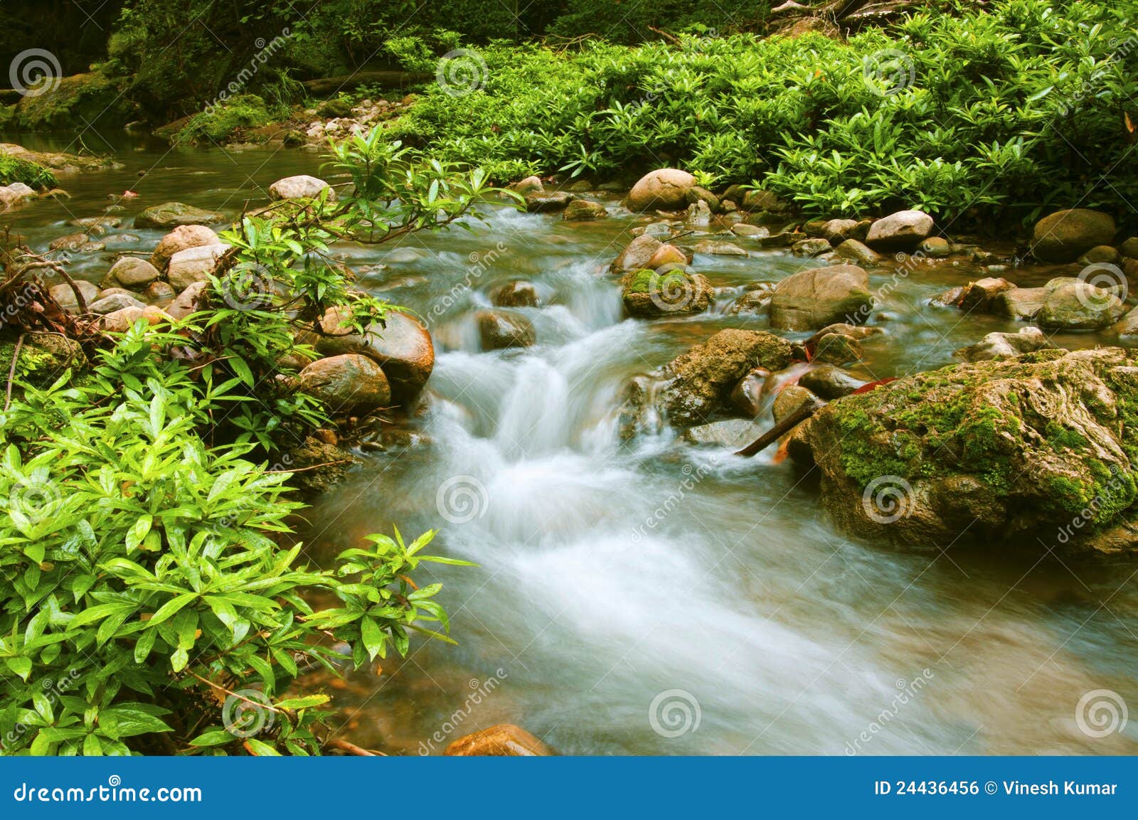 Water Fall: White Water in Flow Stock Photo - Image of forest, garden ...