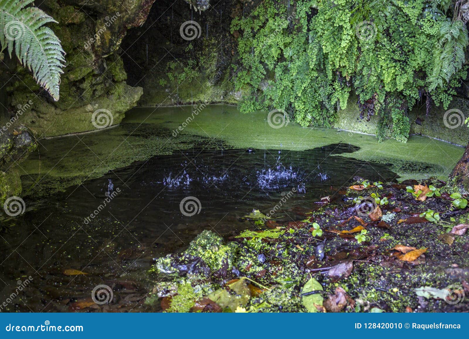 Water falling on cave stock photo. Image of nature, cooling - 128420010