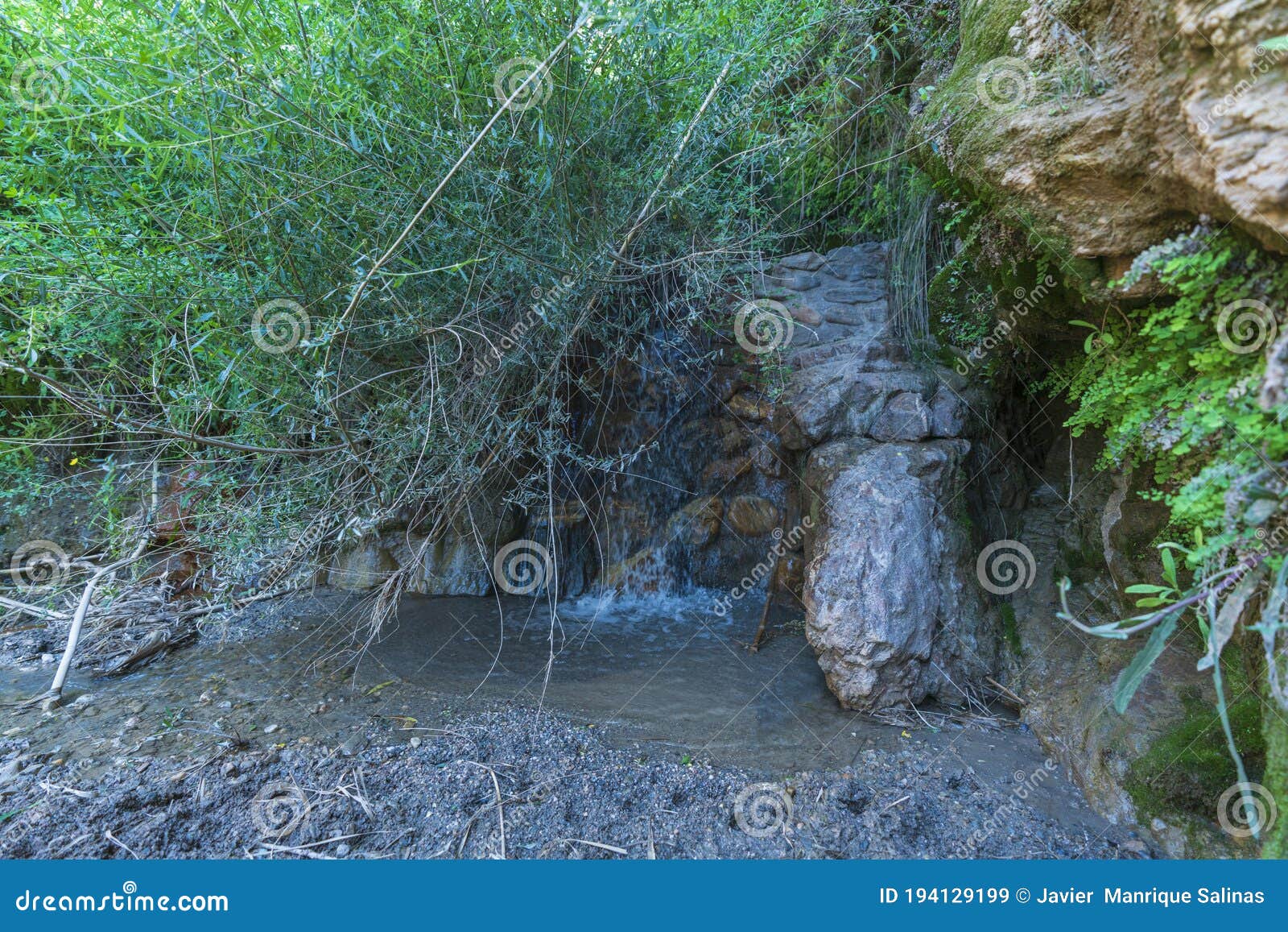 Water Falling Down a Stone Wall Stock Image - Image of plant, landscape ...