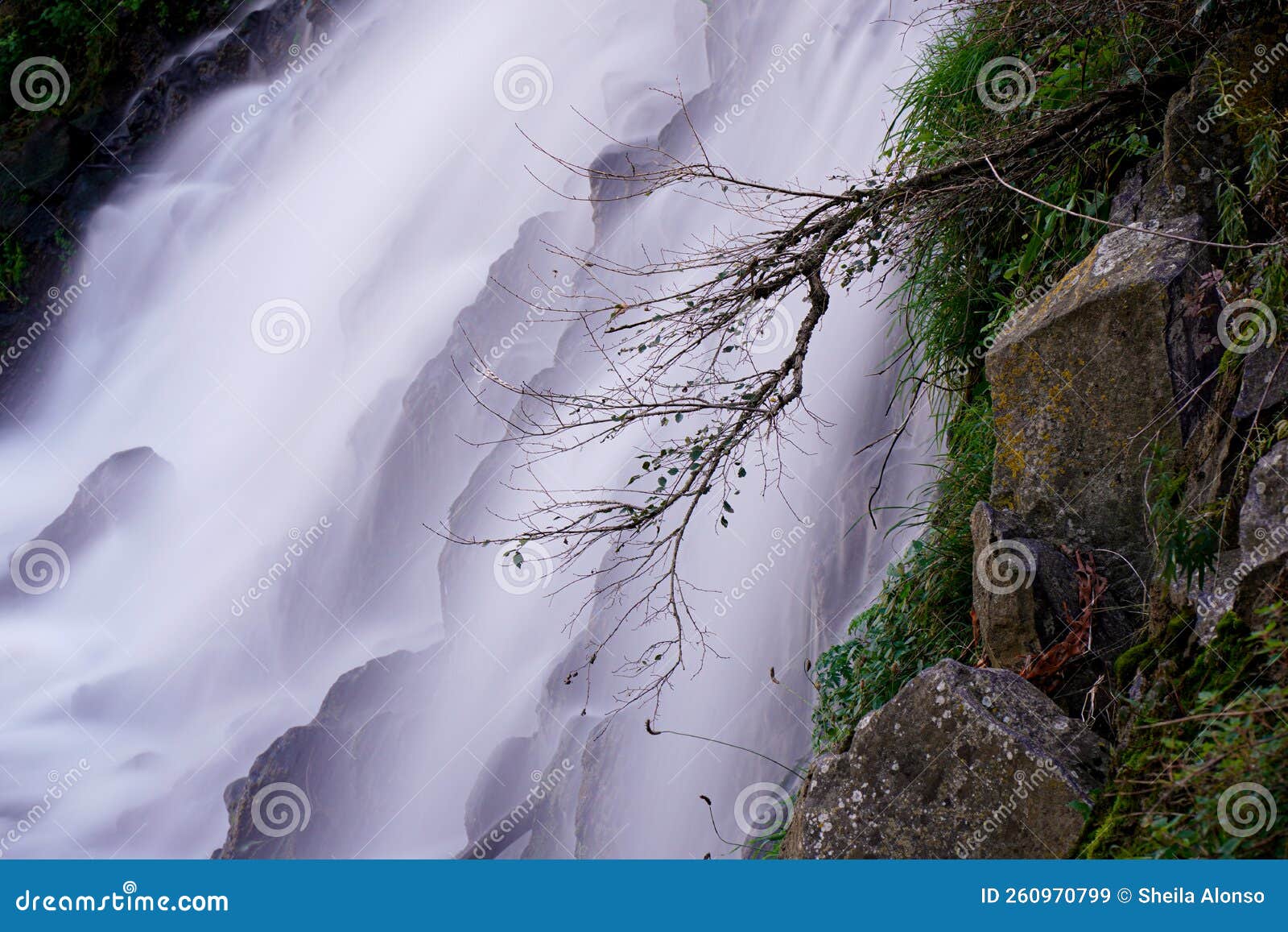 Water Falling Down a Waterfall with Great Force. Silk Effect Stock ...