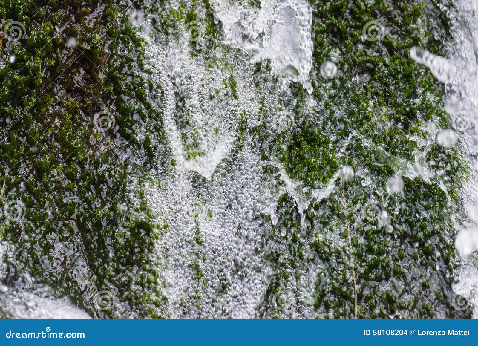 Water Falling on Green Moss Stock Photo - Image of moss, plant: 50108204