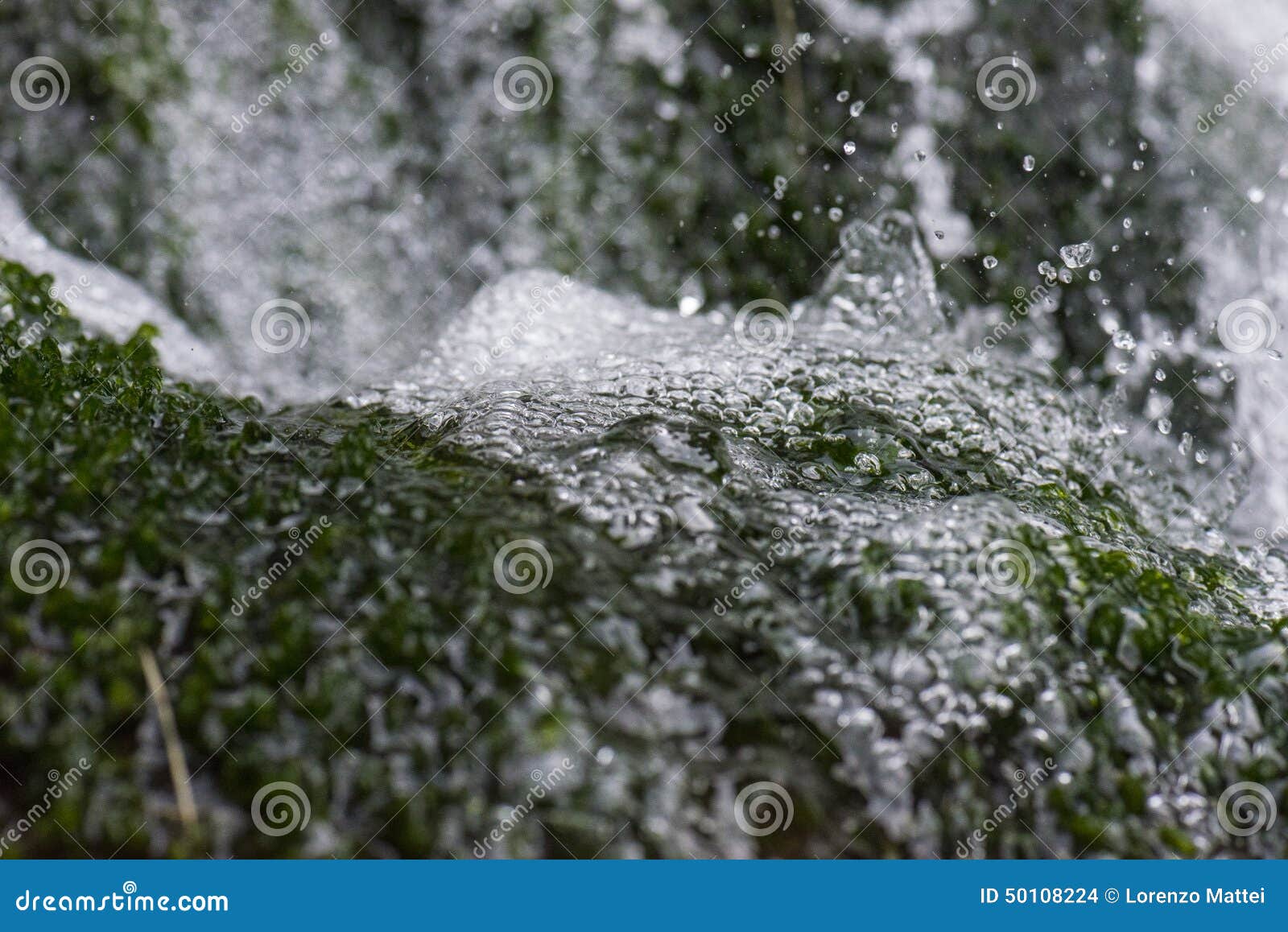 Water Falling on Green Moss Stock Photo - Image of white, snow: 50108224