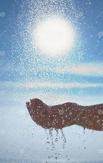 Water falling on hand stock image. Image of natural, drop - 21289737