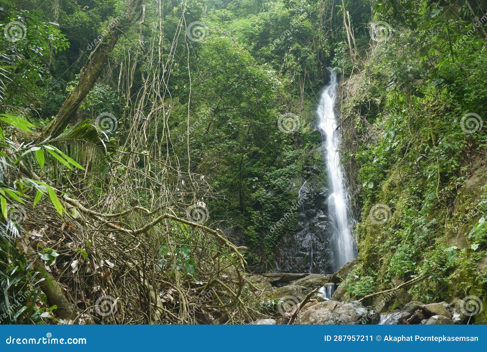 Gnon Stock Photos - Free & Royalty-Free Stock Photos from Dreamstime