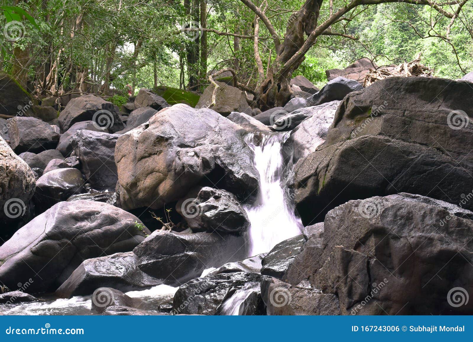 Water Falling between the Rocks in a Dense Forest Stock Photo - Image ...