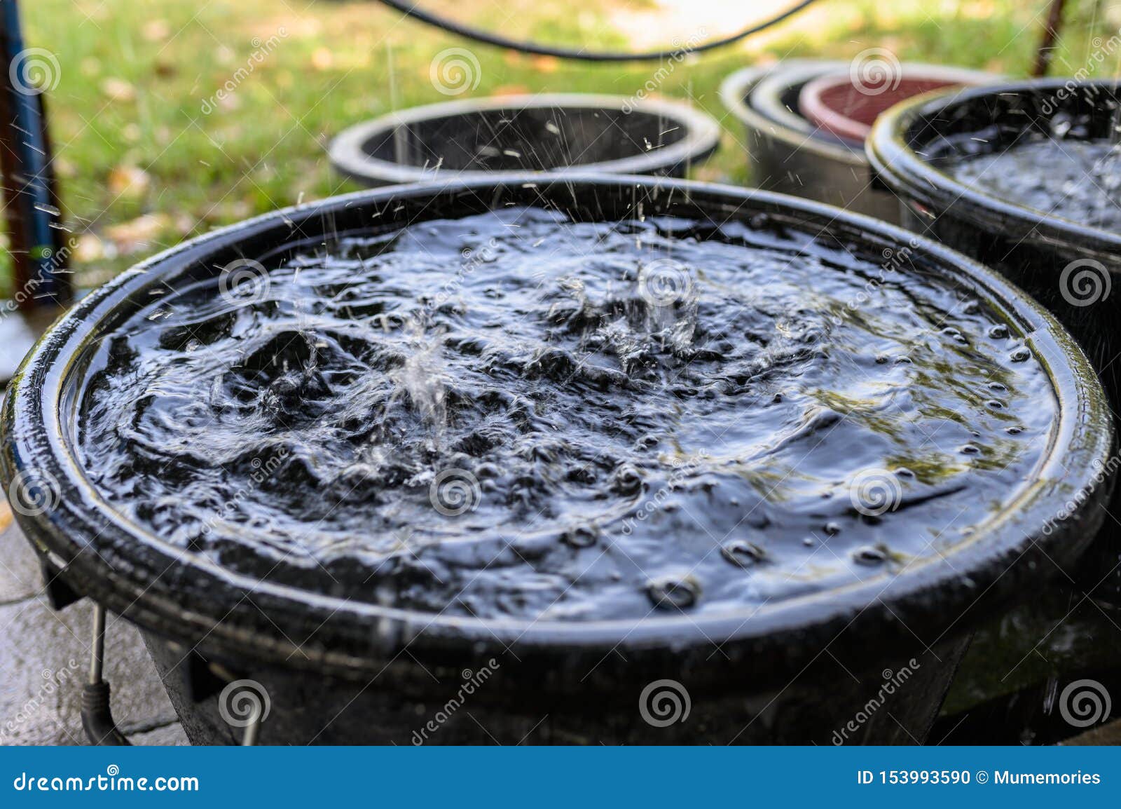 Water Falling with Splashing in Receive Bucket Stock Photo - Image of ...