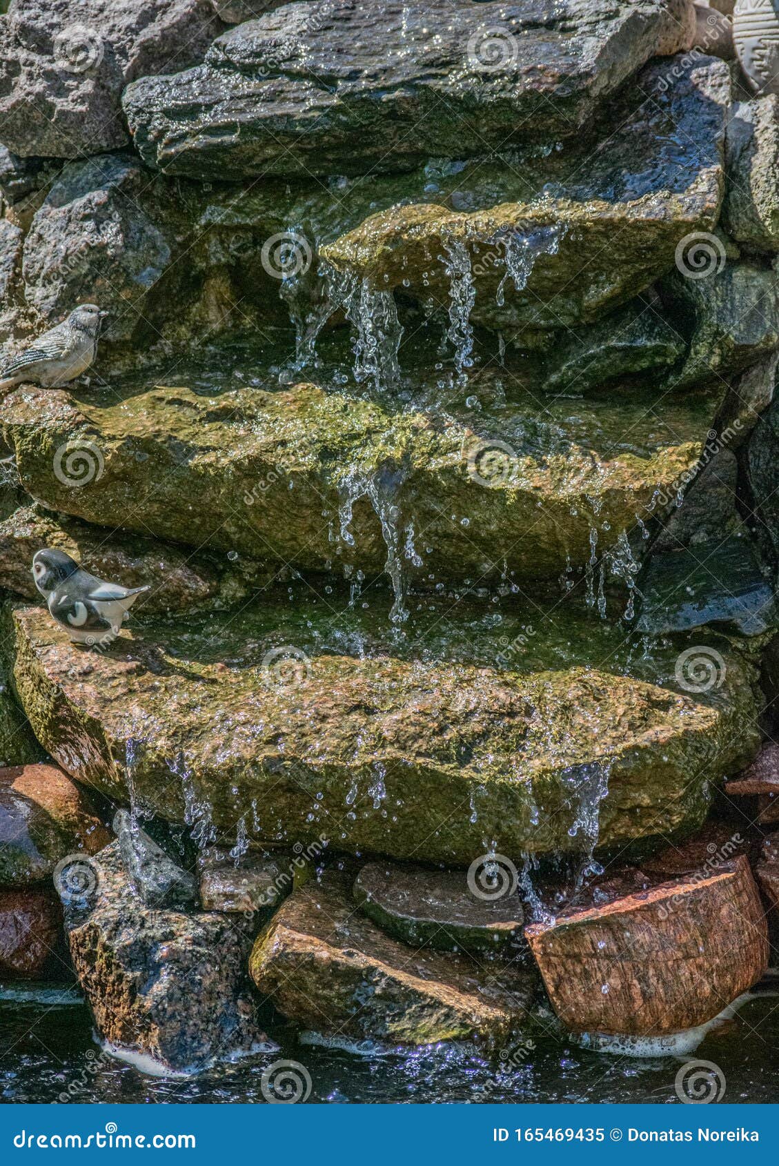 Water is Falling from the Stones in the Garden Pond Background Stock ...