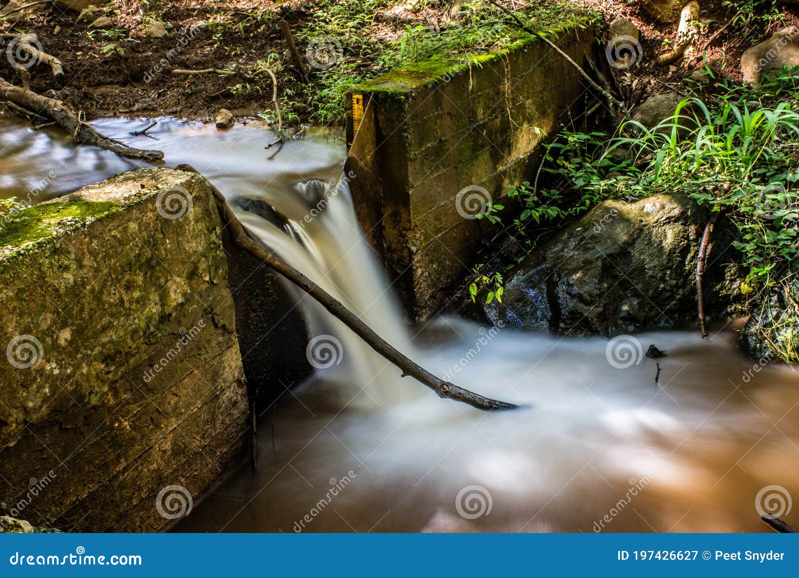 Water Falling from Stream into a Pool of Water Stock Image - Image of ...