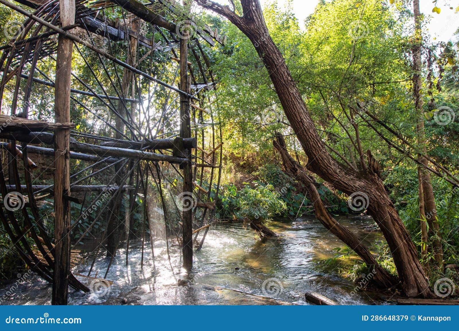 Water Falling from the Water Wheel into the Forest Stock Image - Image ...