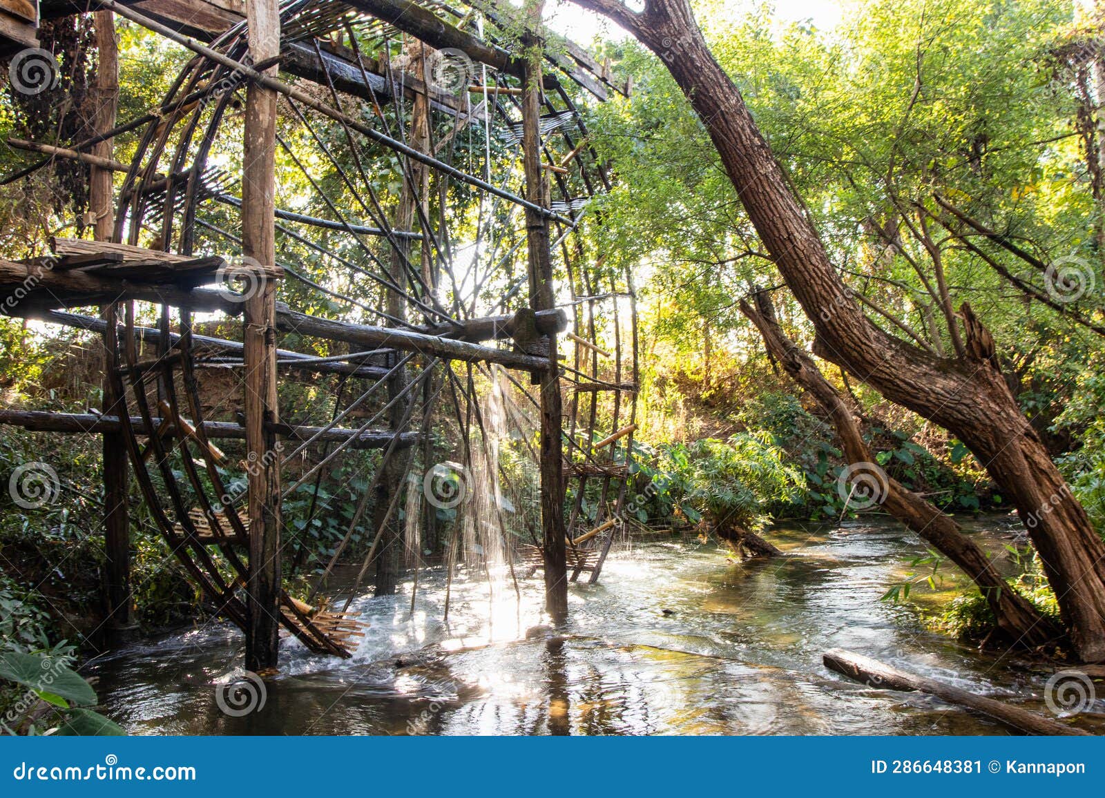 Water Falling from the Water Wheel into the Forest. Stock Image - Image ...