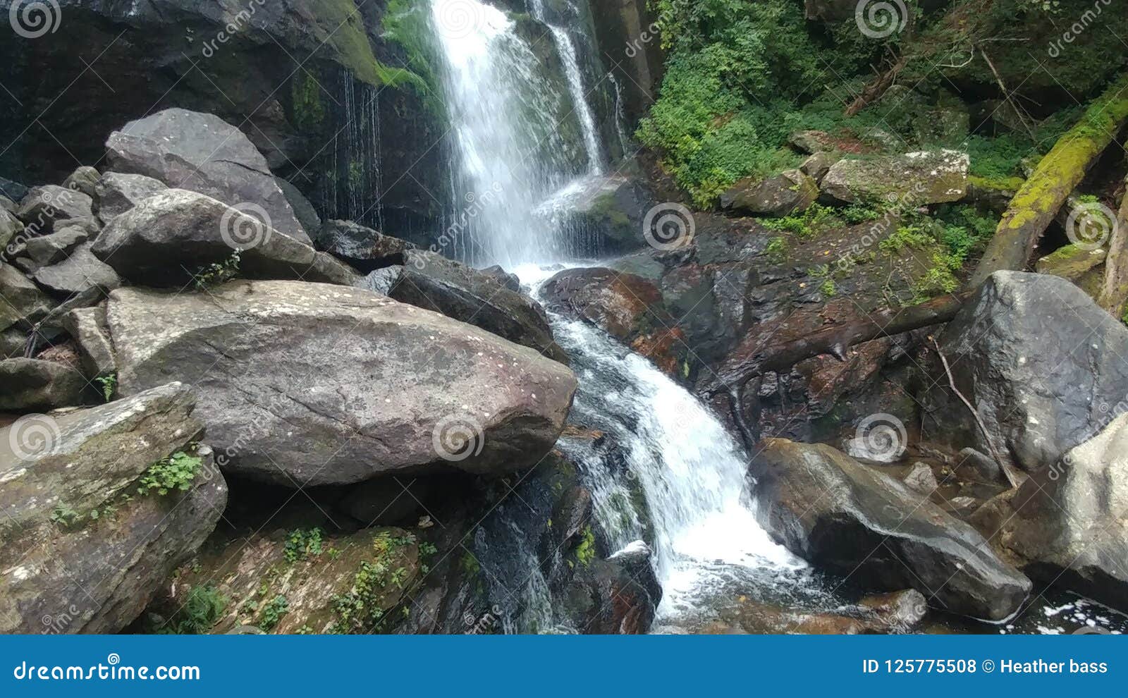 Waterfalls Waterfall Forest Rocks Stock Photo - Image of forest, water ...